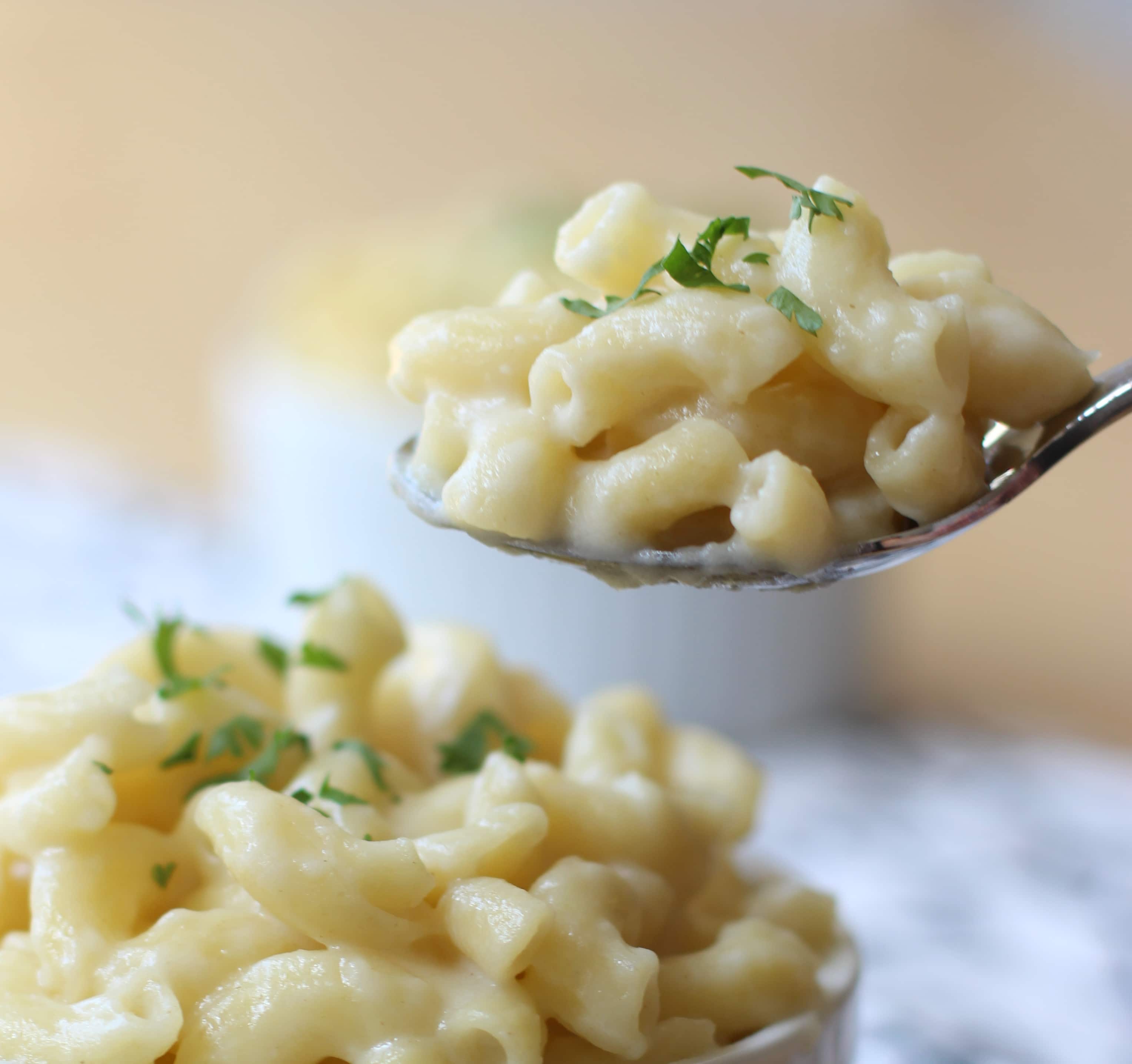 Adult Macaroni and Cheese - Joyous Apron