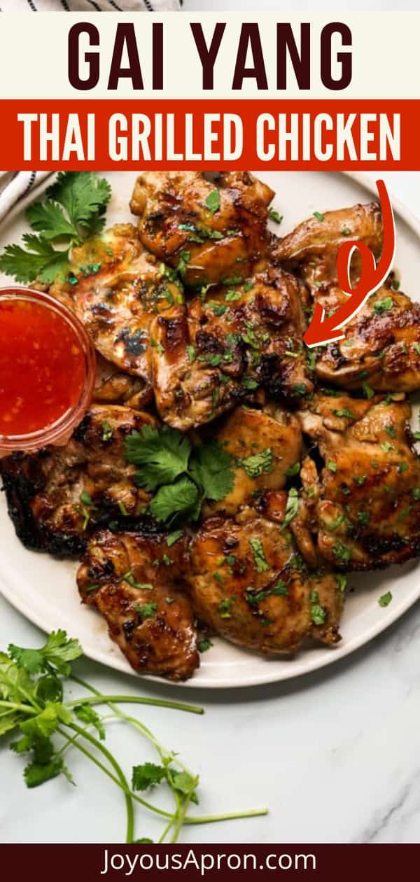 Thai Grilled Chicken (Gai Yang) - Joyous Apron
