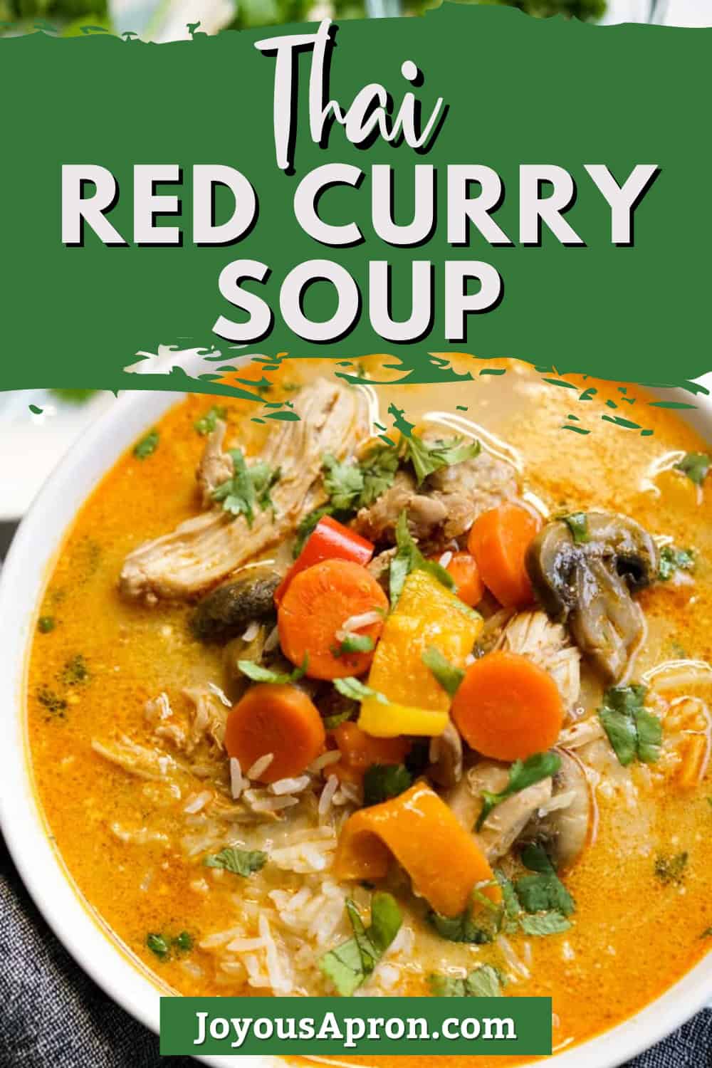 Coconut Curry Chicken Soup - Joyous Apron